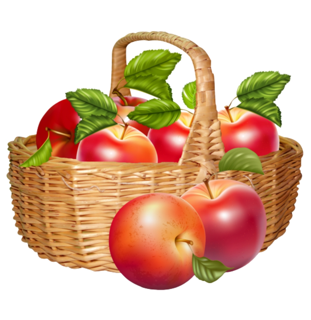 Комплекти саджанців яблуні ᐉ купити в розпліднику Біосад