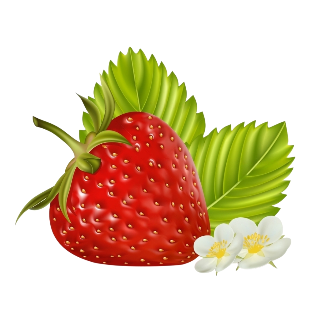 Саженцы ремонтантной клубники ᐉ купить в питомнике Биосад